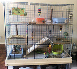 HD Animals: homemade rabbit cages