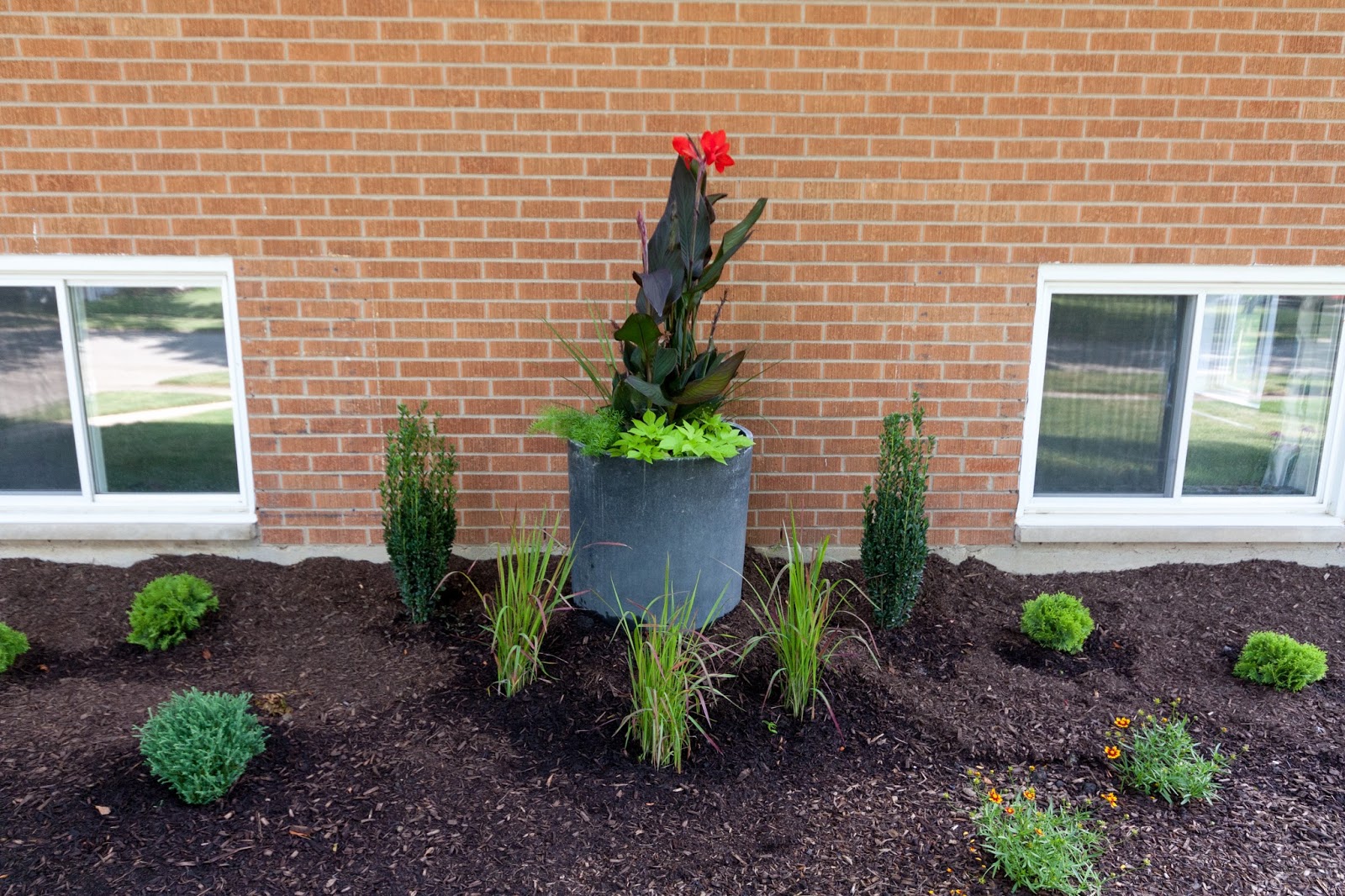 Russet Street Reno: The longest landscaping post ever