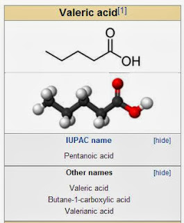 Medicine Newbie: Fatty Acids