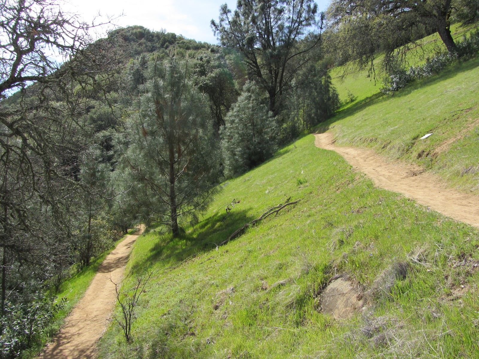 We Be Trekkin: Stebbins Cold Canyon Reserve- Blue Ridge Loop Trail
