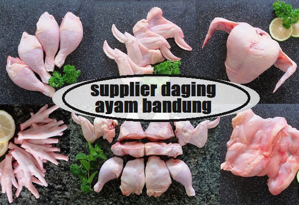 Supplier Daging Sapi + Ayam Potong Bandung Jabar - Daftar Alamat Telepon Supplier Daging Sapi + Ayam Potong Bandung Jabar - Daftar Alamat Telepon