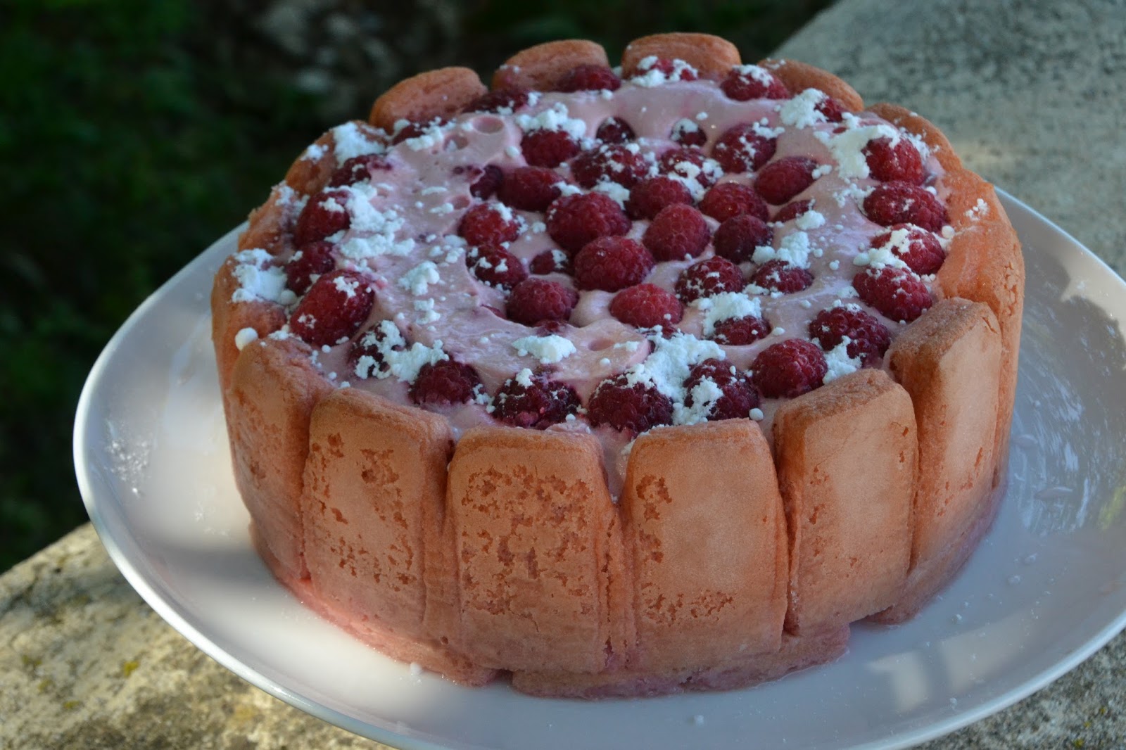 Charlotte aux framboises et biscuits roses de Reims