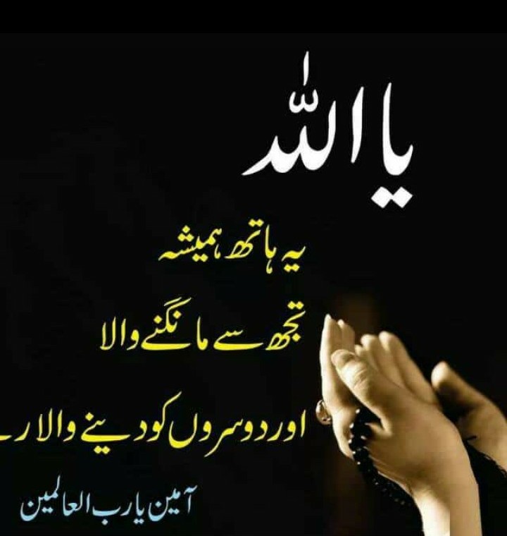 Whatsapp Status In Urdu One Line Islamic at Tyra Lopez blog