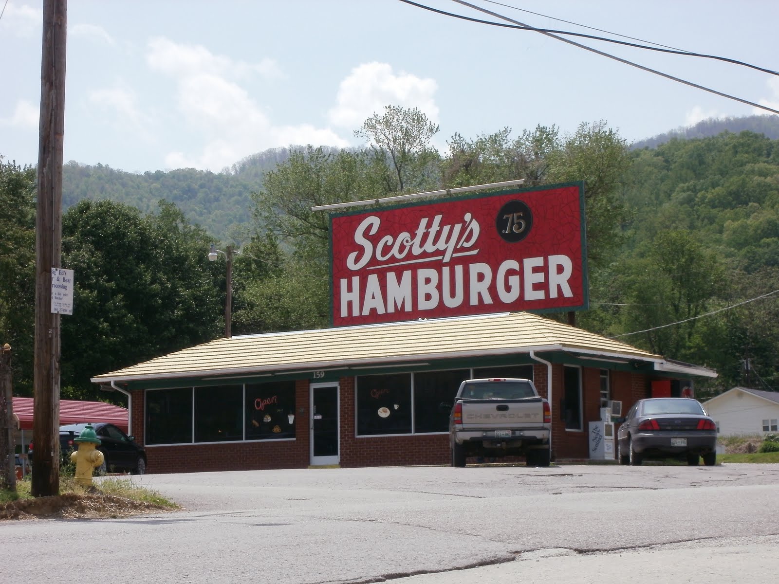 Browsing Through Books: Guest Post: Scotty's