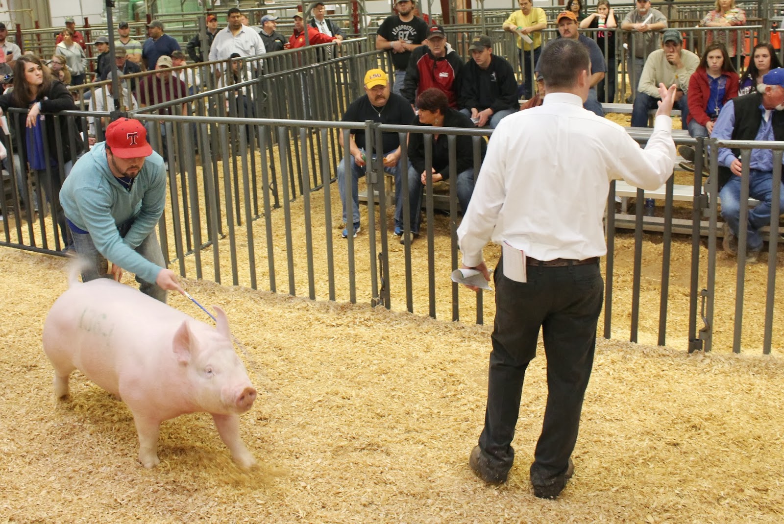 NSR Show & Sale Results