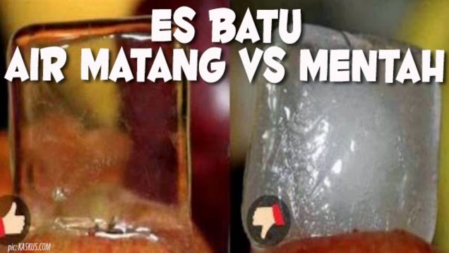 Ini Dia Cara Membedakan Es Batu dari Air Mentah dan Air Matang, Bantu ...