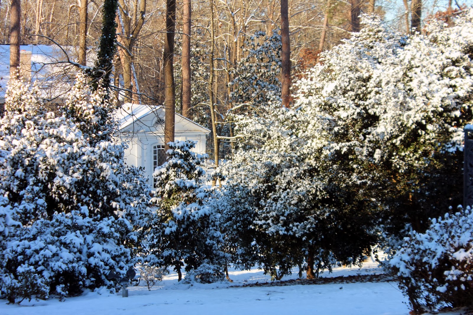 Southern Snowfall | Suzanne MacCrone Rogers • Italian Girl in Georgia™