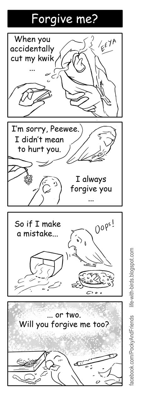 Life with Birds: Forgive me?