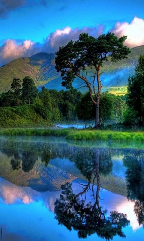 Natureza Maravilhosa - Enciclopédia Global™