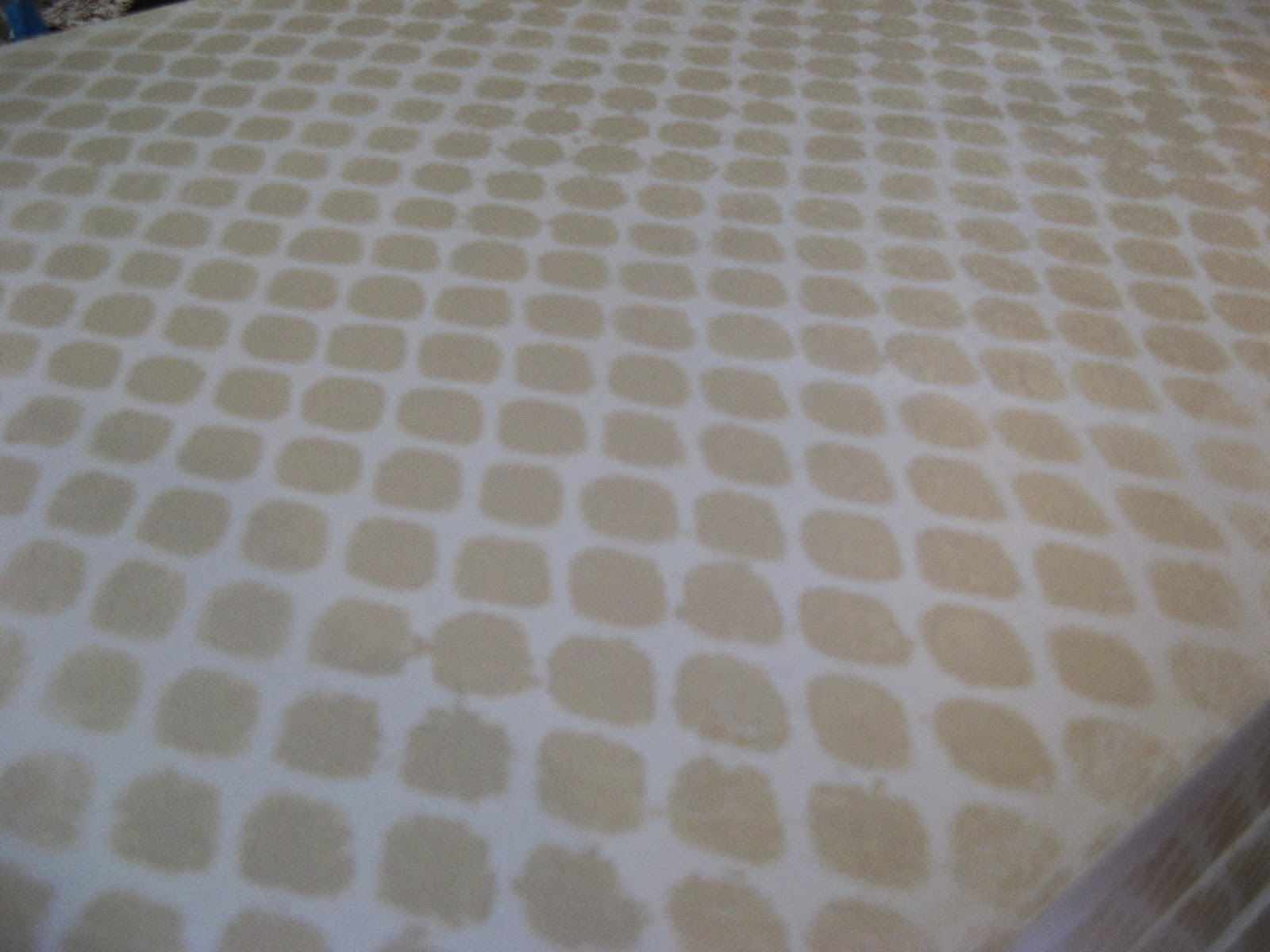 Susan Snyder: FISHNET PAINT PATTERN - FAILED ATTEMPT?