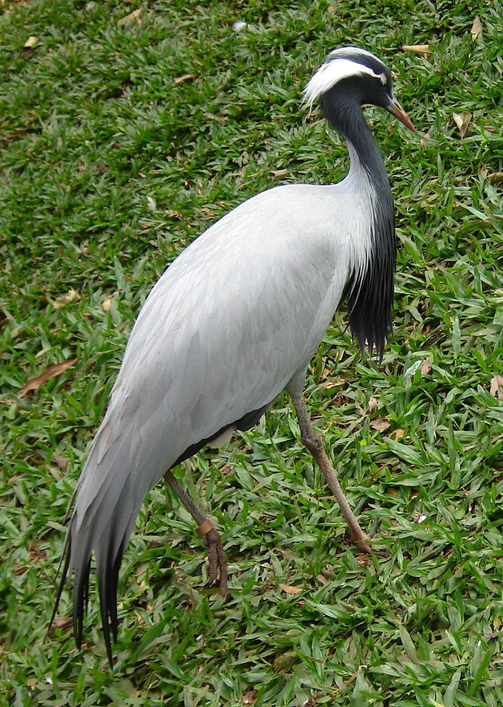 Sandy's Motherhood Blog: Food, Fun, Fashion: Does Anyone Still Wear a Hat?