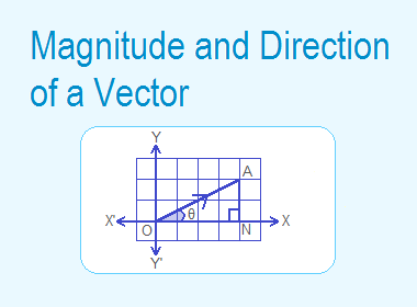 10 Math Problems: Magnitude and Direction of a Vector