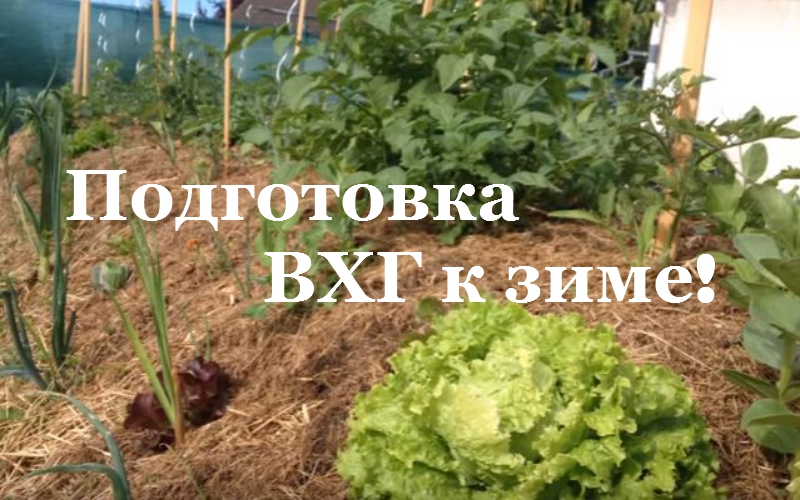 Уральский огород - без особых хлопот!: ЗАКРЫТИЕ СЕЗОНА В ПРИРОДНОМ ...