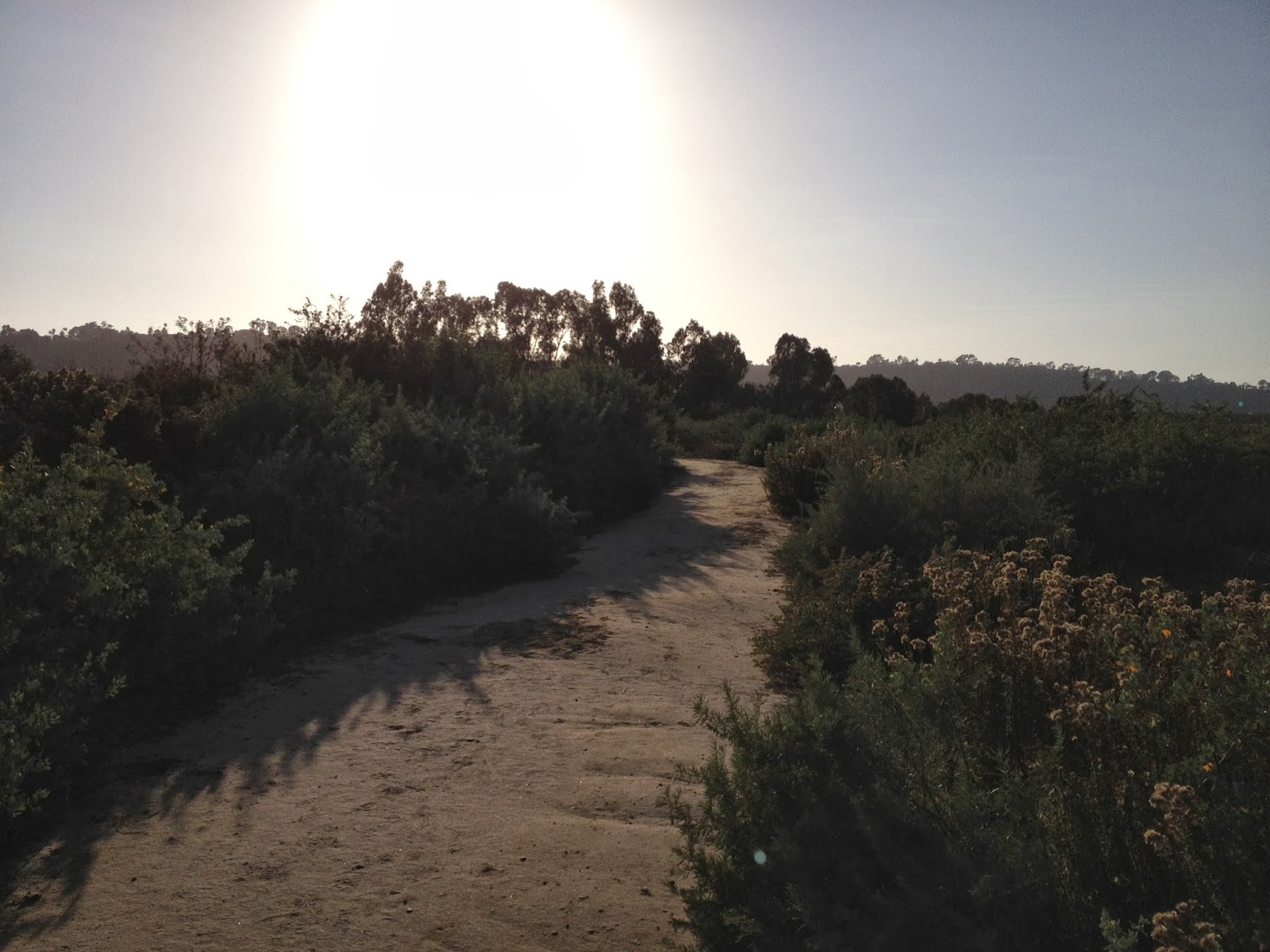 Caleb's Geography Blog: Dust Devil Nature Trail - San Diego, California