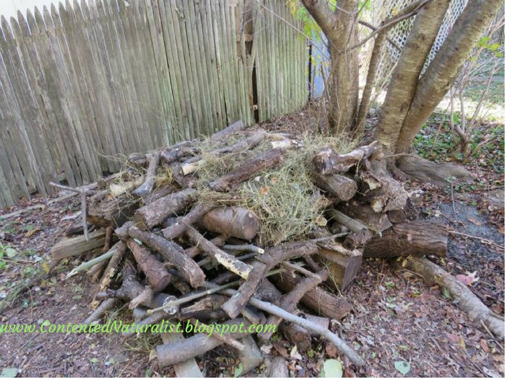 The Contented Naturalist: Create Shelter: Build a Log Pile for Wildlife