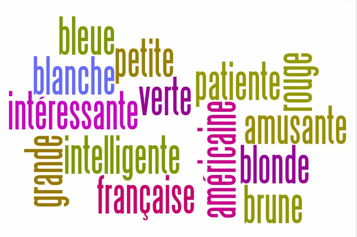 Pluriel des adjectifs – Règles générales et particulières