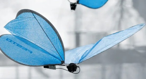 Festo Bionic Butterfly Robot Review Price | Robot Butterfly Specification