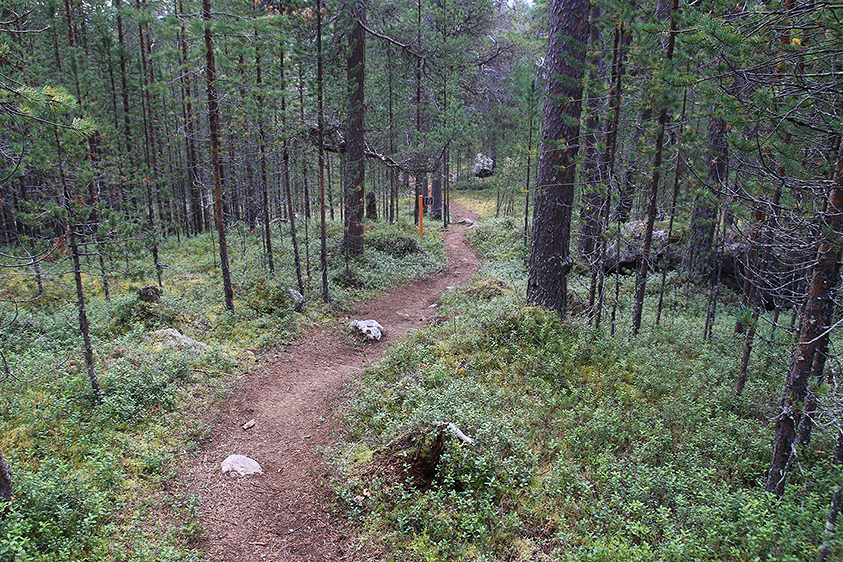 seita: Juutuan polku