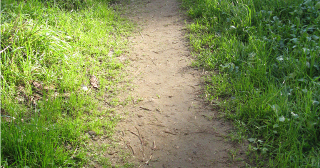 The Hahn Family Blog: The parable of the Soil, the parable of your Heart