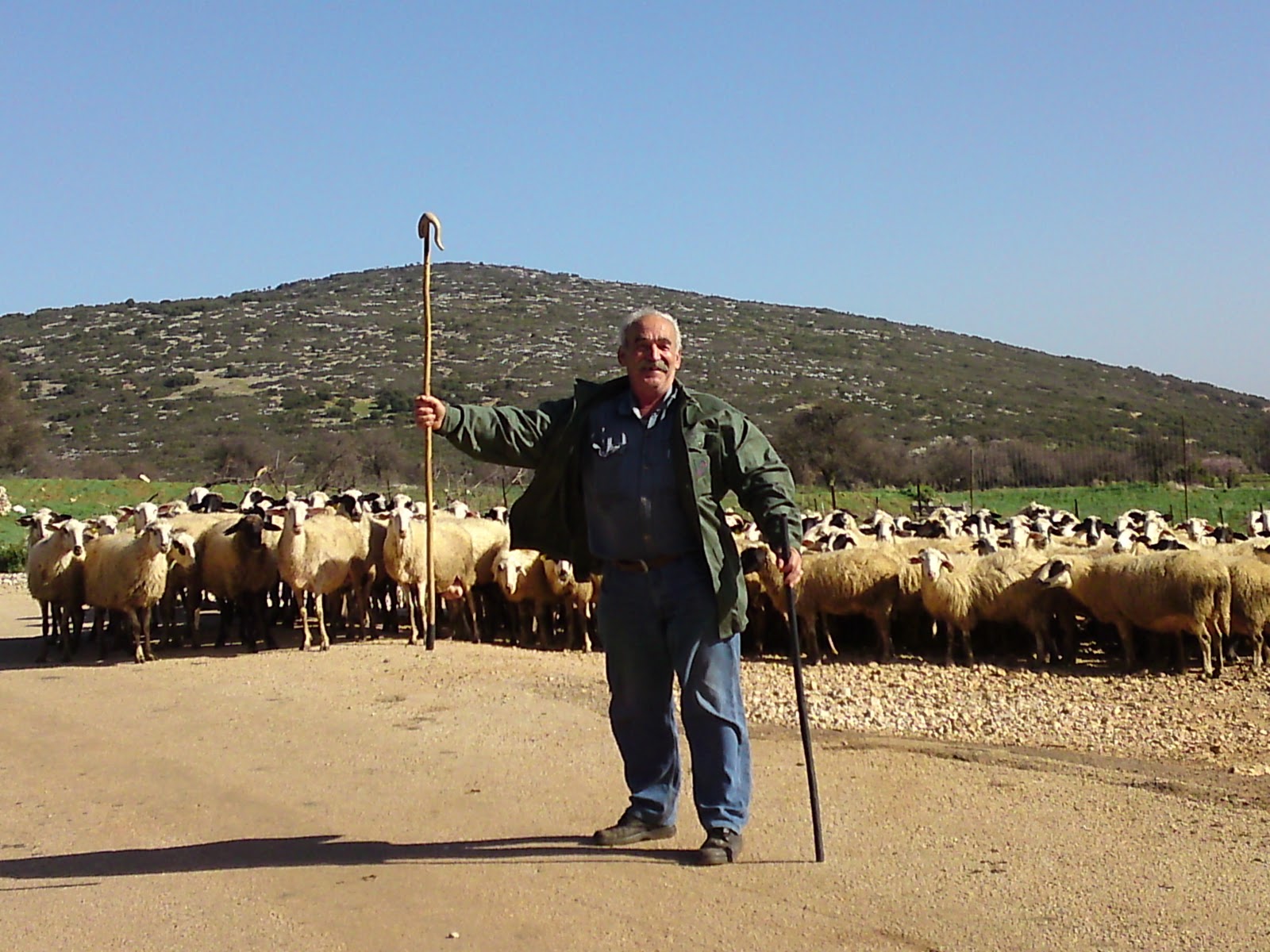 ΧΕΛΙ - ΑΡΑΧΝΑΙΟ: Φωτογραφίες από χωριό Αραχναίο