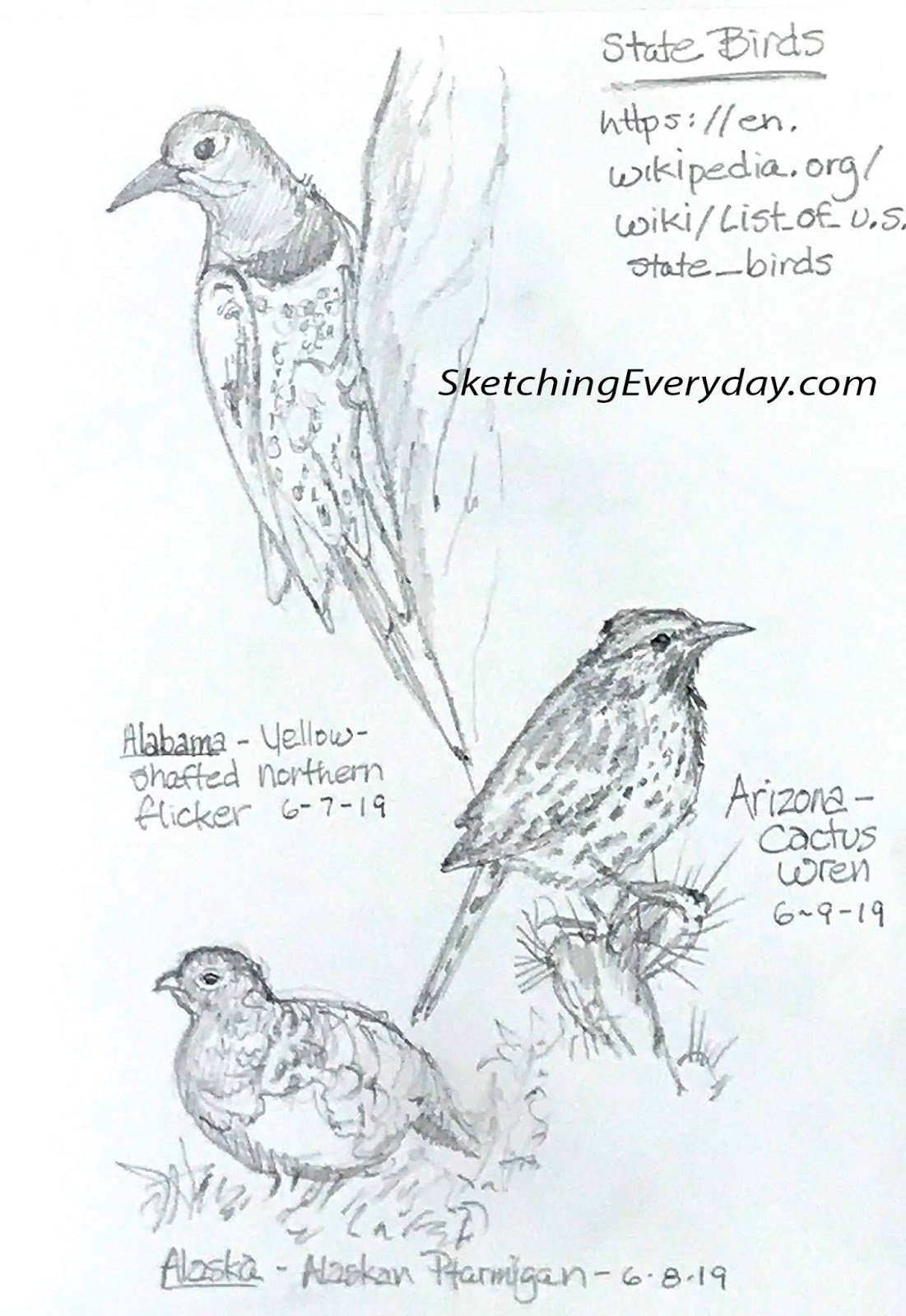 *Sketching Every Day*: Drawing The State Birds