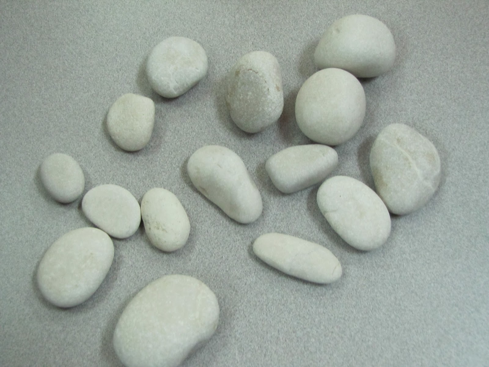 Learning All Day Long: Rock Fish!