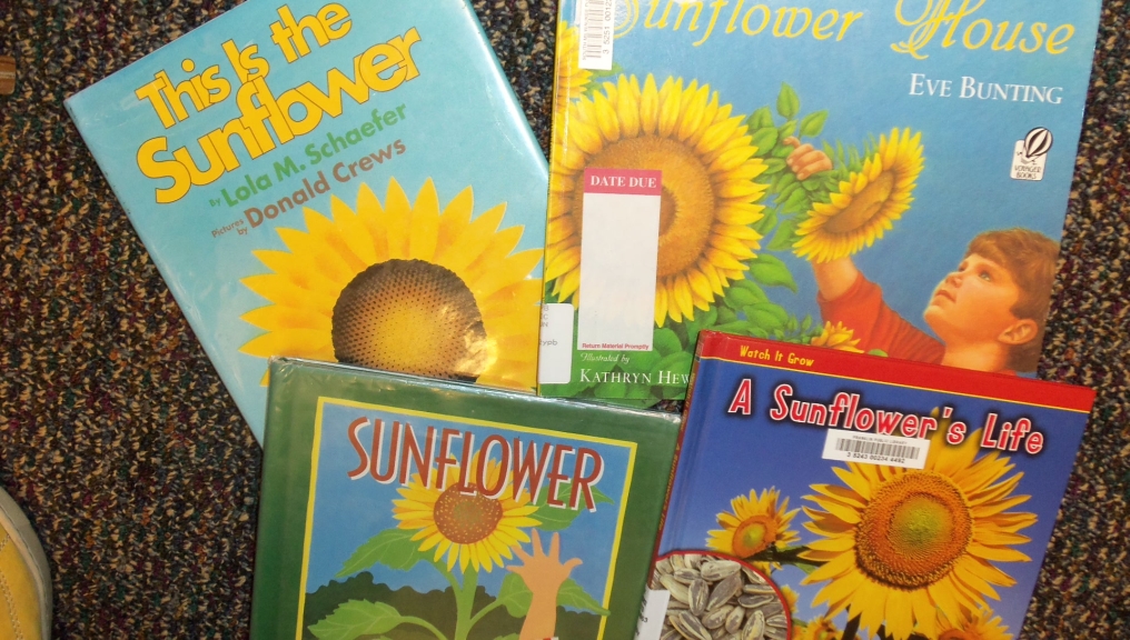 Storytime Land: Sunflowers