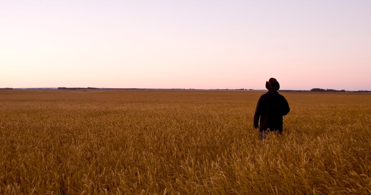 Homilies and Occasional Thoughts: Limping Along in Hope (Advent 3A)