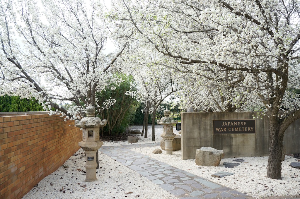 simply letting go: Carcoar Dam to Cowra, and beyond