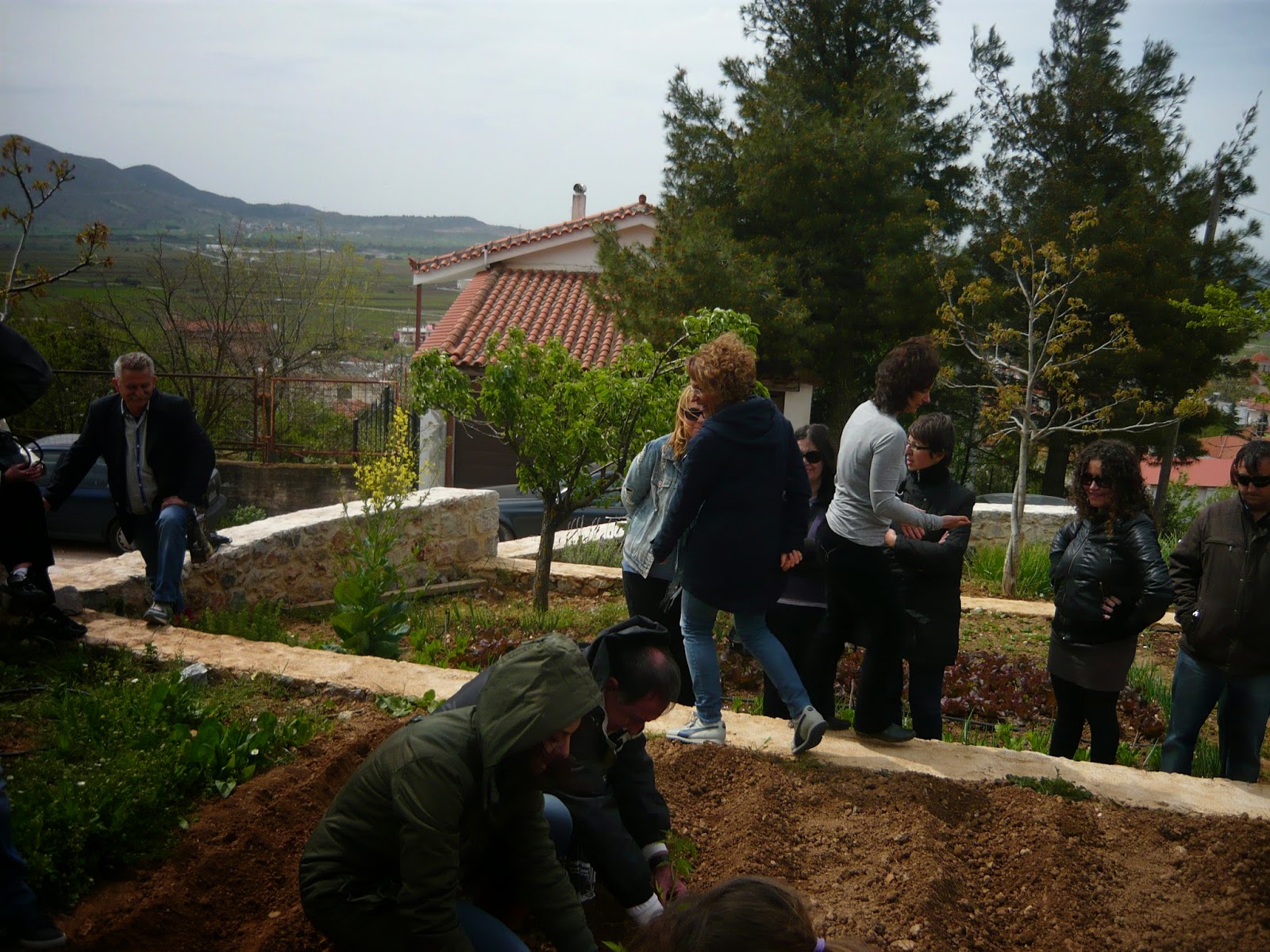 ΣΧΟΛΙΚΟΙ ΛΑΧΑΝΟΚΗΠΟΙ : ΟΙ ΚΗΠΟΙ ΤΩΝ ΣΧΟΛΕΙΩΝ ΤΗΣ Δ/ΣΗΣ Β/ΘΜΙΑΣ ΕΚΠ/ΣΗΣ ...