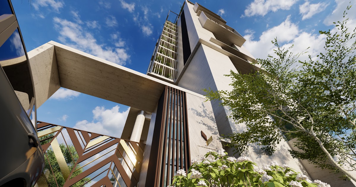 Development Solution (DDS)