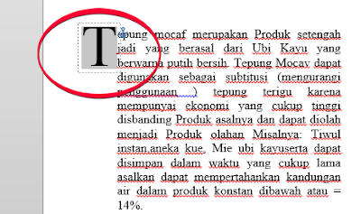 Cara Mudah Menggunakan Drop Cap pada Microsoft Office Word 2013 ...