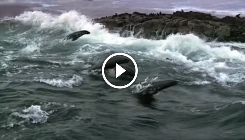God's Beautiful Creation, Awesome Scenery - This Video is AMAZINGLY ...