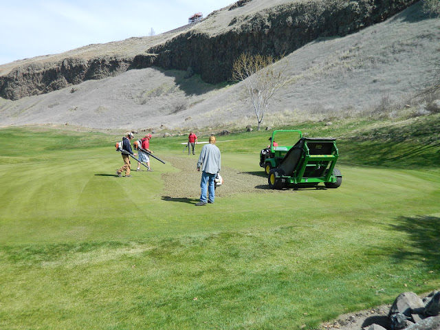LGCC Golf Maintenance: Greens Aerification