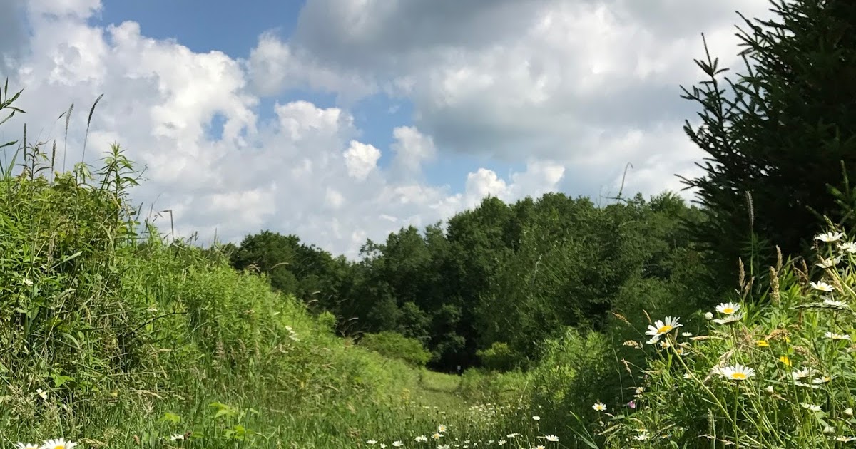 Wandering PA: The Erie National Wildlife Refuge Trolley Line Trail
