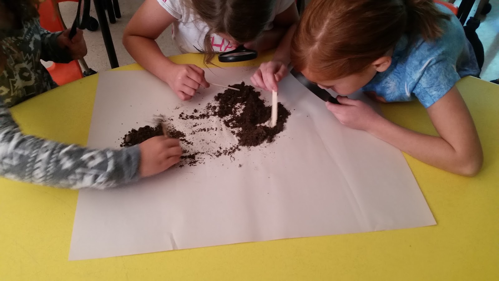 Mrs. Daley Creamer's Class: Learning about Soil