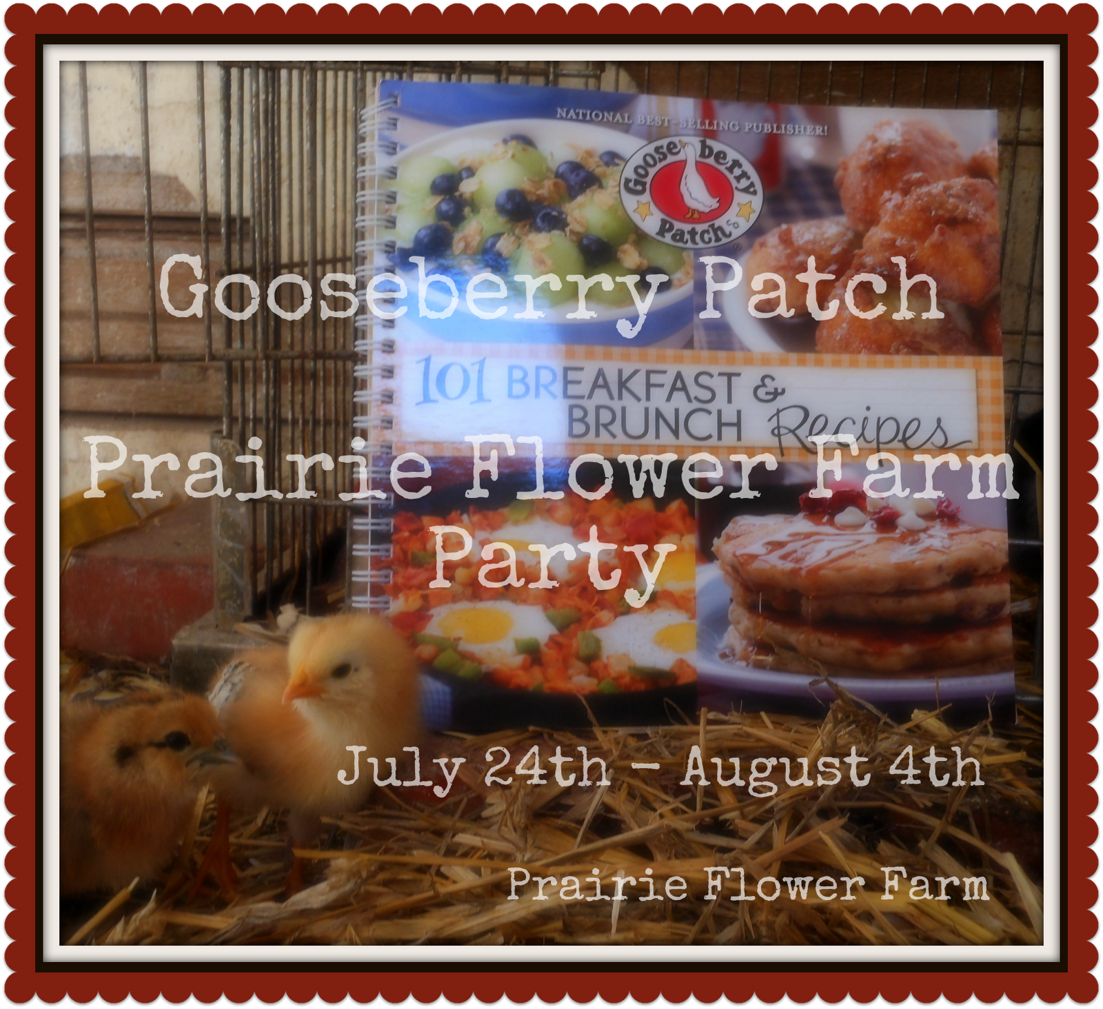 Prairie Flower Farm: Gooseberry Patch/Prairie Flower Farm Party!!!!!