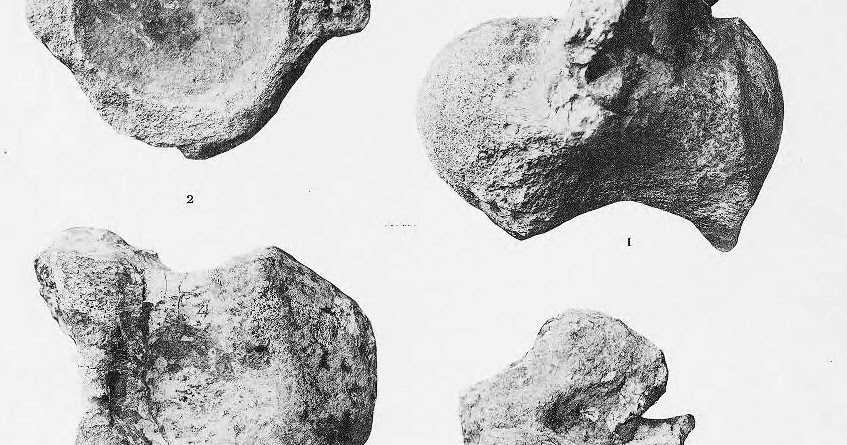 Equatorial Minnesota: Your Friends The Titanosaurs, part 20 ...