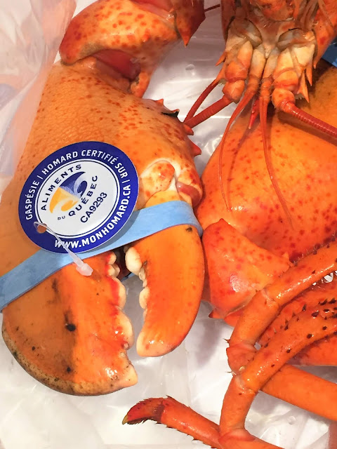 La saison du homard québecois