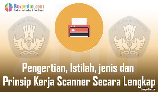 Pengertian, Istilah, jenis dan Prinsip Kerja Scanner Secara Lengkap ...