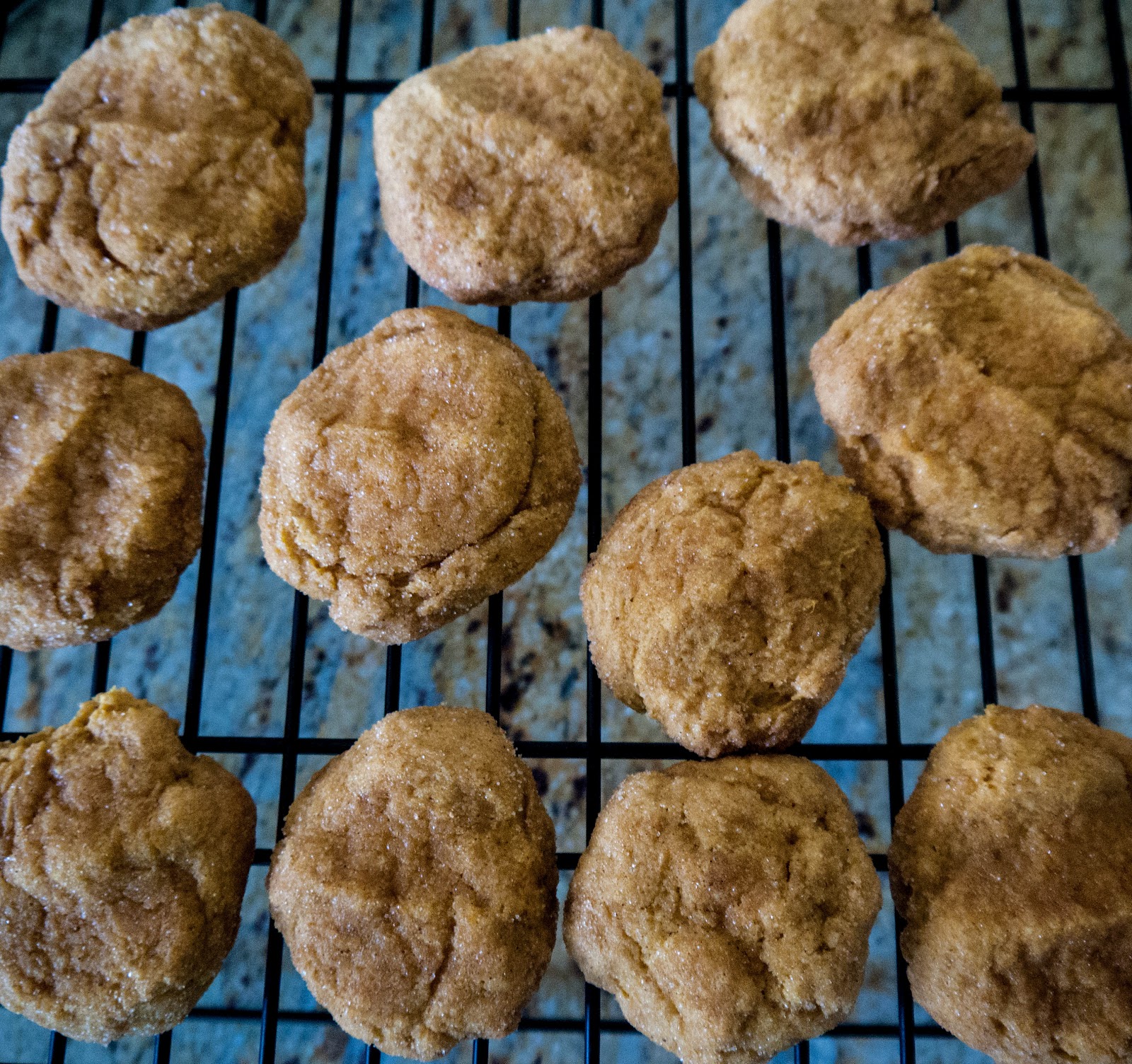 Recipe Codex: Dessert: Pumpkin Snickerdoodles