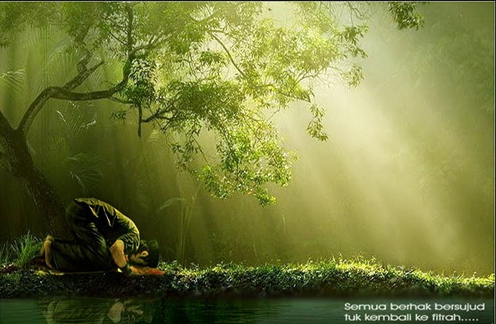 Panduan Solat : Ketahui 16 Rahsia Besar Yang Tersembunyi Dalam Sujud ...