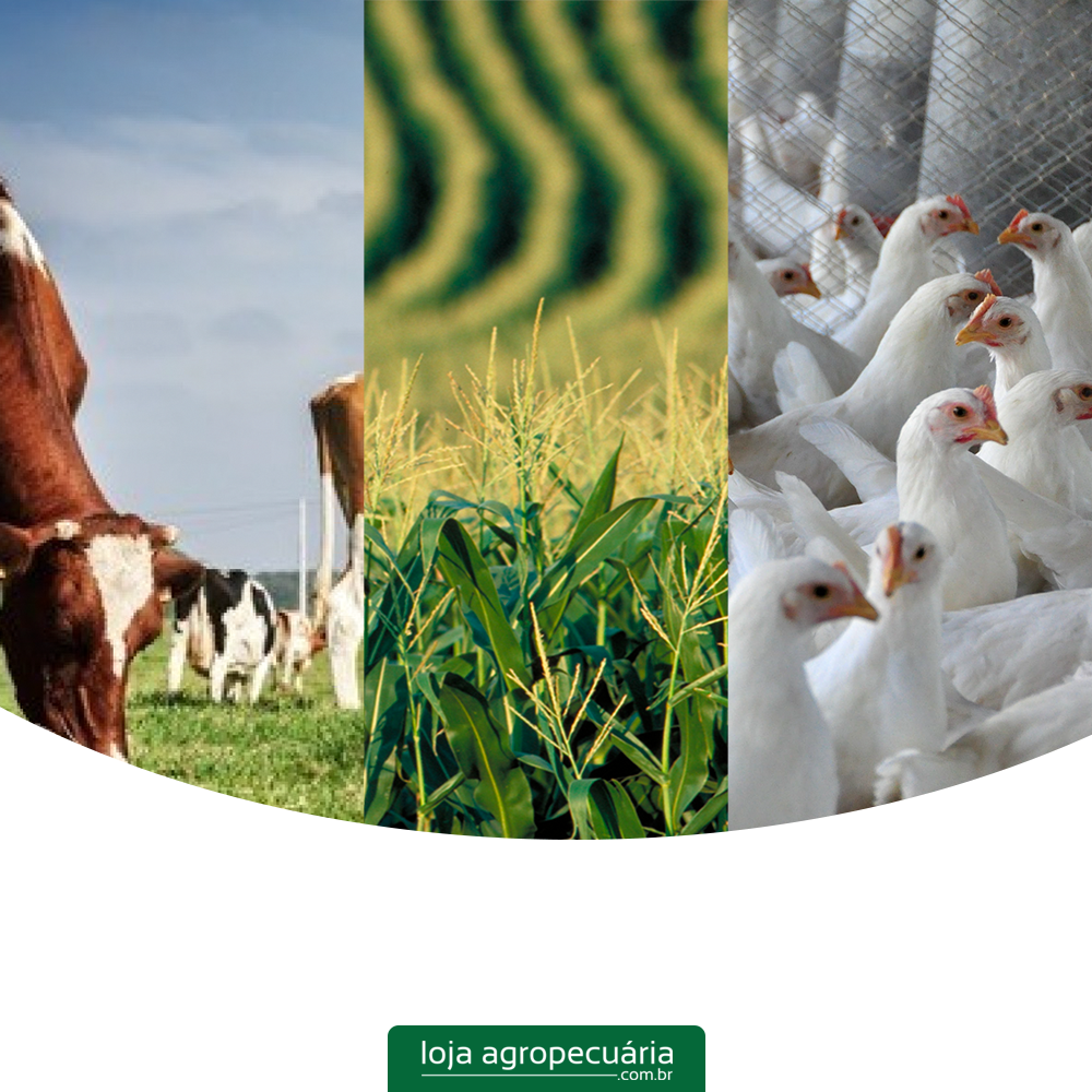 Loja Agropecuária: Produtos para Agricultura, Pecuária e Veterinária