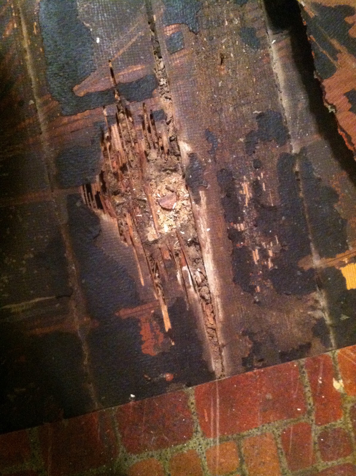 Our Journey to Simplicity: Termites in Utah?