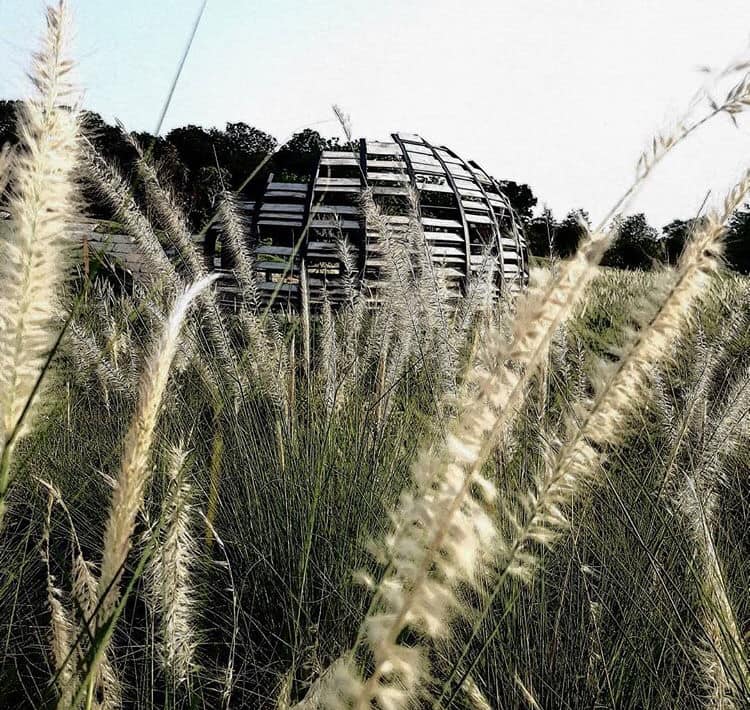 Jurong Lake Garden国家公园，新加坡免费新景点！