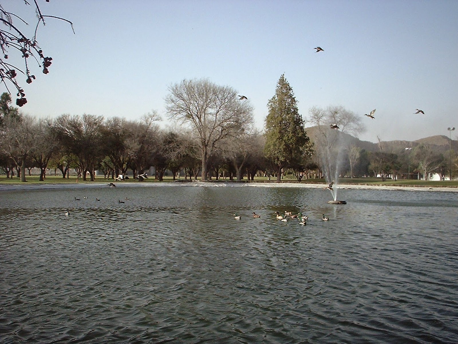 SALTILLOEVIDENCIAS Lo Mejor de Coahuila de Luis E. Galindo: Club ...