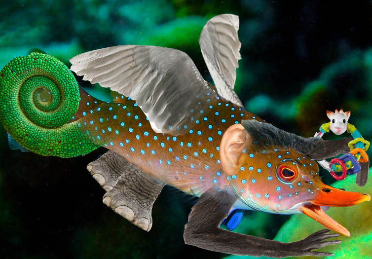 Create a Hybrid Creature