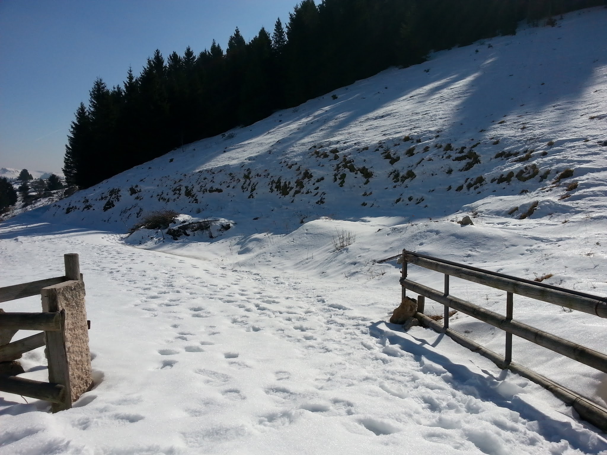 Ciaspolata a Malga Lessinia