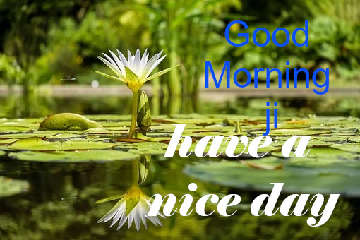 Top 10 Nice Good Morning. images Photos , greetings, pictures for ...