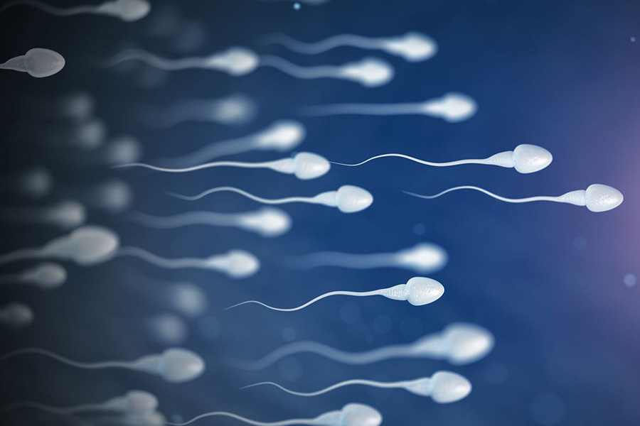 What Is Semen How Is It Made Causes Of Semen Thinning And How To Make